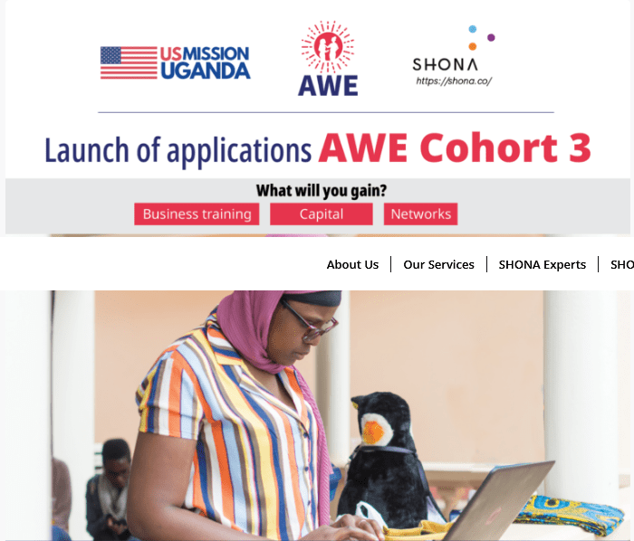 The Academy for Women Entrepreneurs (AWE) Program 2021 for female ...