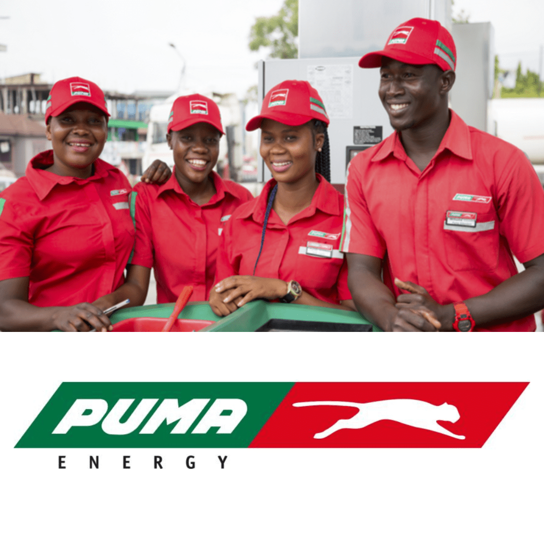 Puma Energy Global Graduate Program 2024