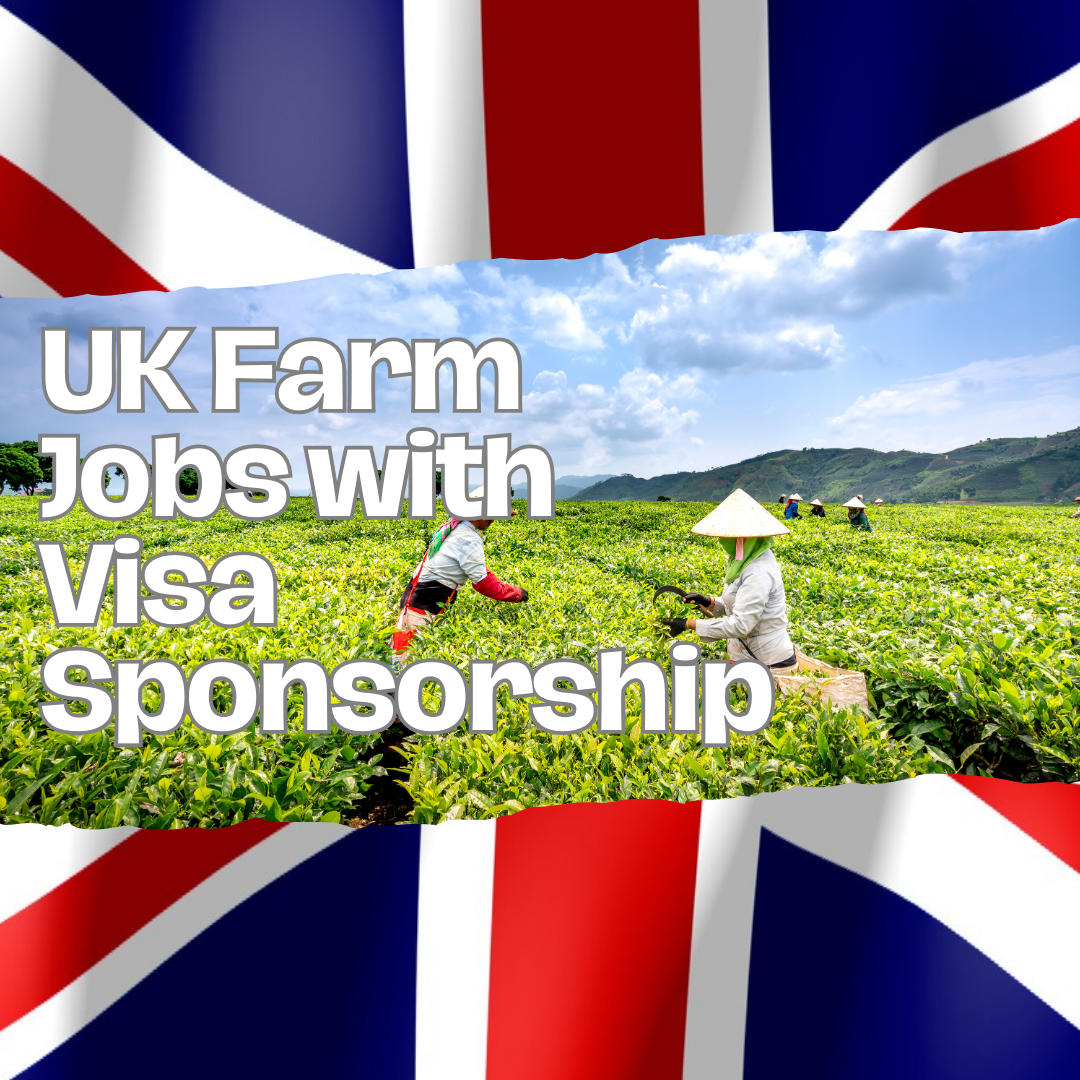 UK Farm Jobs with Visa Sponsorship